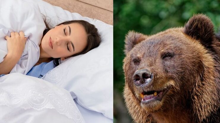 ¿Qué significa soñar con pardo? - Somnimentis